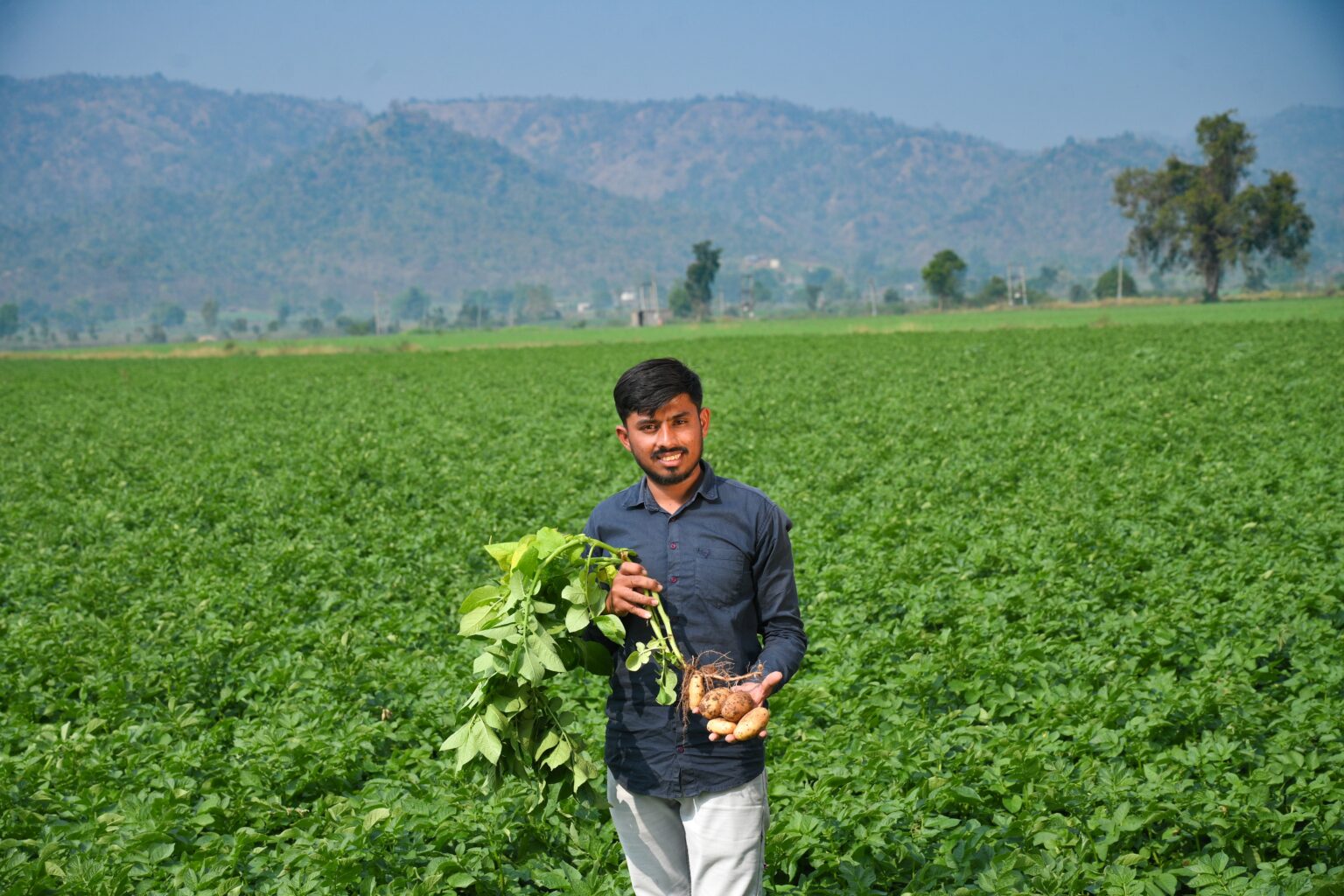Farm to Freezer – Iscon Balaji Foods Private Limited